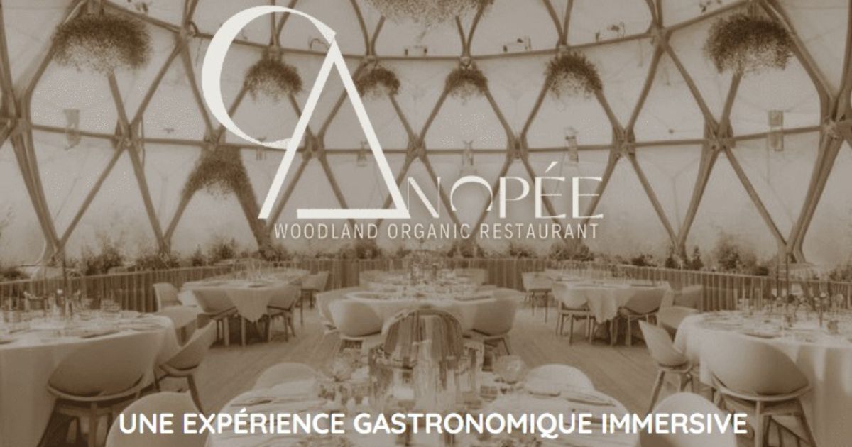 Canopée - Une expérience gastronomique immersive