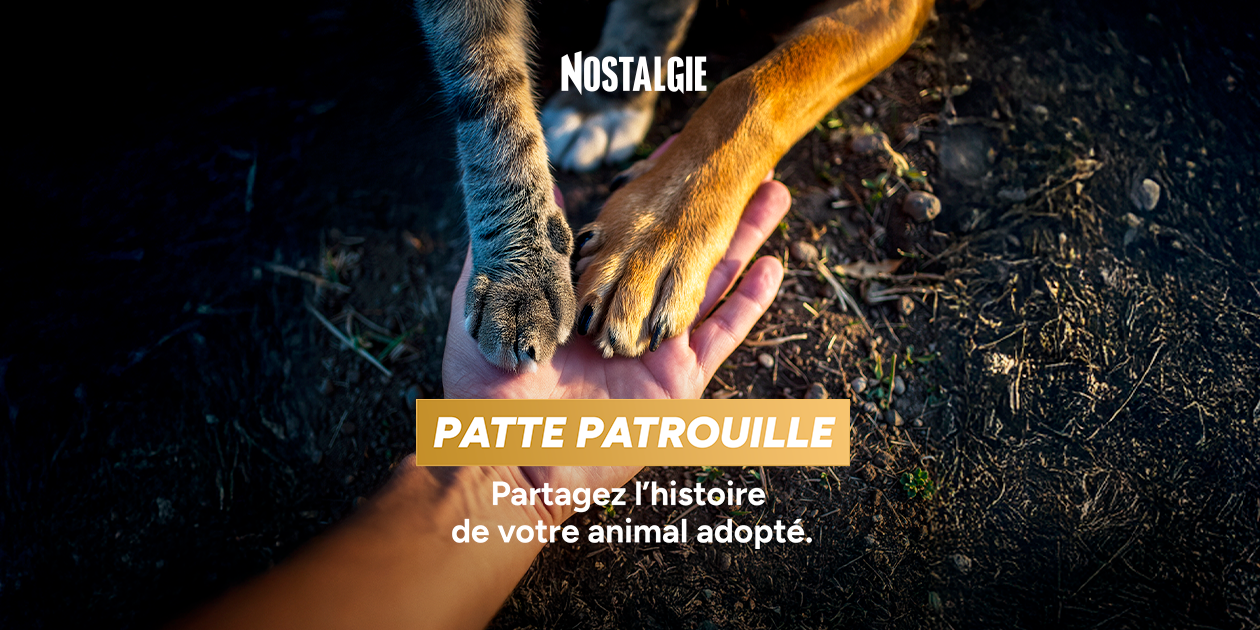 « La Patte Patrouille » : aidez un refuge avec Edgar & Cooper et la ...
